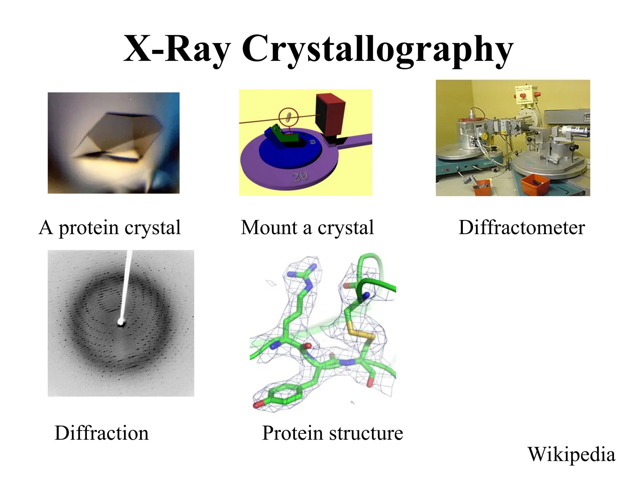 Template Based Protein Structure Modeling | PPT