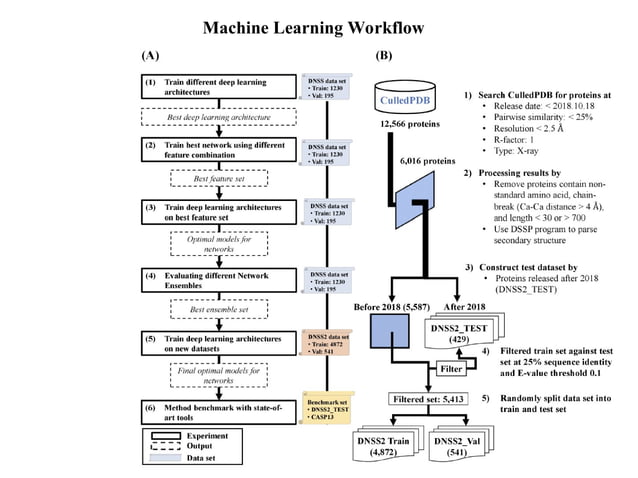 Template Based Protein Structure Modeling | PPT
