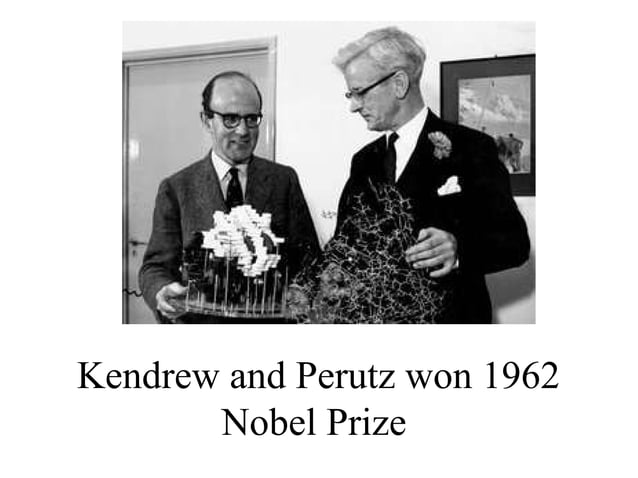 Template Based Protein Structure Modeling | PPT