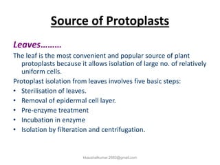 Protoplast isolation and fusion 2 | PPT