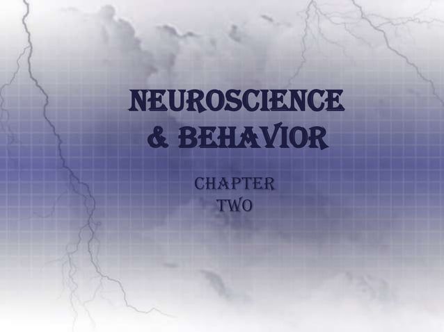Psych 200 Neuroscience and Behavior | PPTX