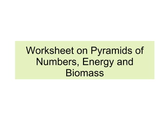 Chapter 21 Ecology Lesson 2 - Pyramid of numbers biomass_carbon cycle | PPT