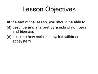 Chapter 21 Ecology Lesson 2 - Pyramid of numbers biomass_carbon cycle | PPT