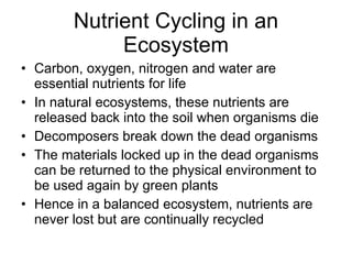 Chapter 21 Ecology Lesson 2 - Pyramid of numbers biomass_carbon cycle | PPT