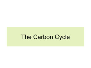 Chapter 21 Ecology Lesson 2 - Pyramid of numbers biomass_carbon cycle | PPT