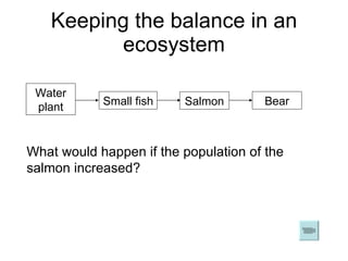 Chapter 21 Ecology Lesson 2 - Pyramid of numbers biomass_carbon cycle | PPT