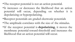 2 receptors.pptx anatomical feature below | PPTX