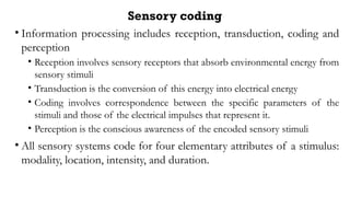 2 receptors.pptx anatomical feature below | PPT