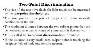 2 receptors.pptx anatomical feature below | PPT
