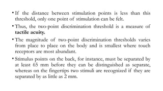 2 receptors.pptx anatomical feature below | PPTX