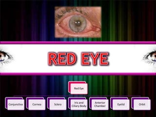 2 red eye.pptx