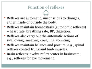 2 REFLEXES iNTRO DETAIL and pathway(2).pptx