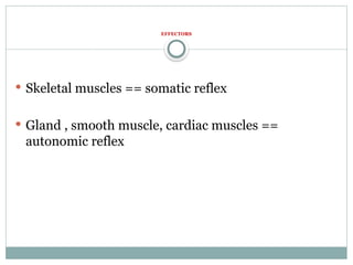 2 REFLEXES iNTRO DETAIL and pathway(2).pptx