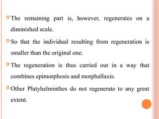 2 REGENERATIVE ABILITIES IN VARIOUS ANIMALS.pptx | Biological Sciences ...