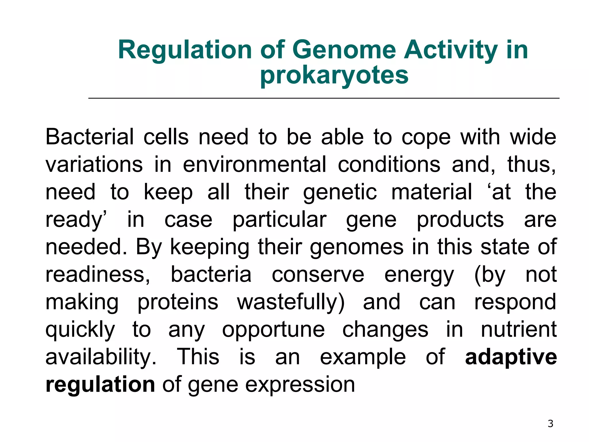 regulation of genome activity | PPT