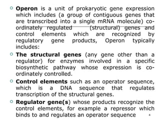 regulation of genome activity | PPT