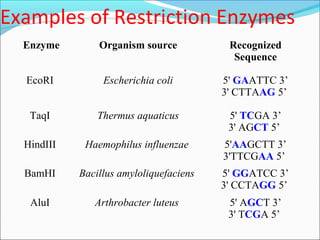 Restriction Enzymes List