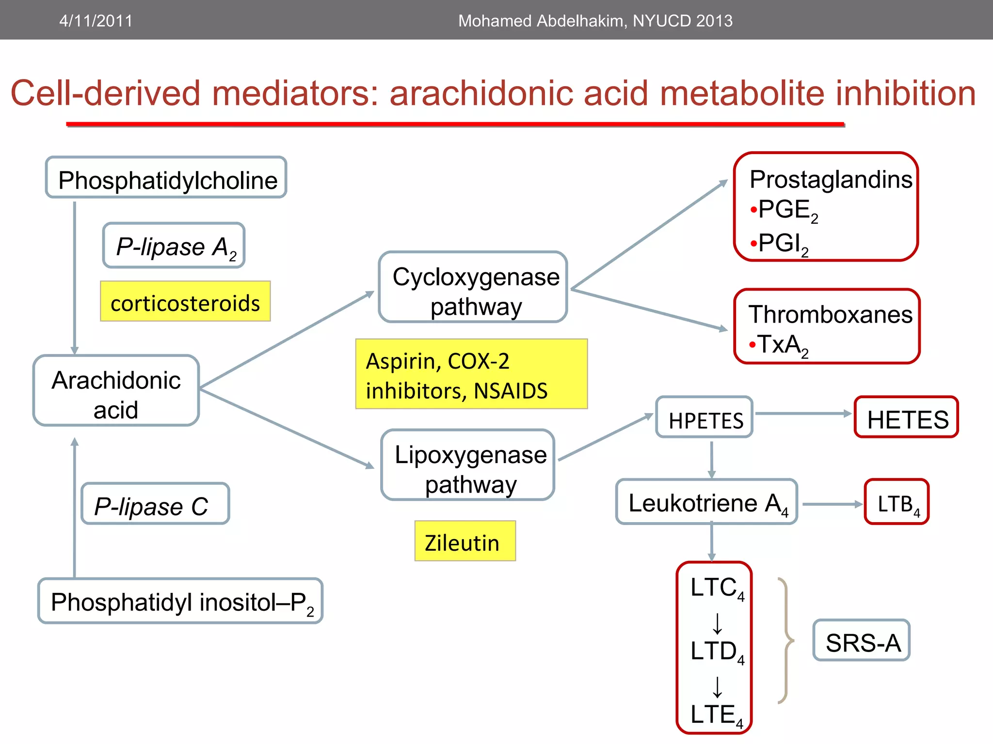 rheumatological diseases | PPT
