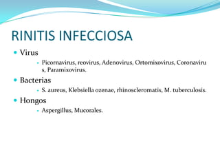 2 rinitis | PPTX
