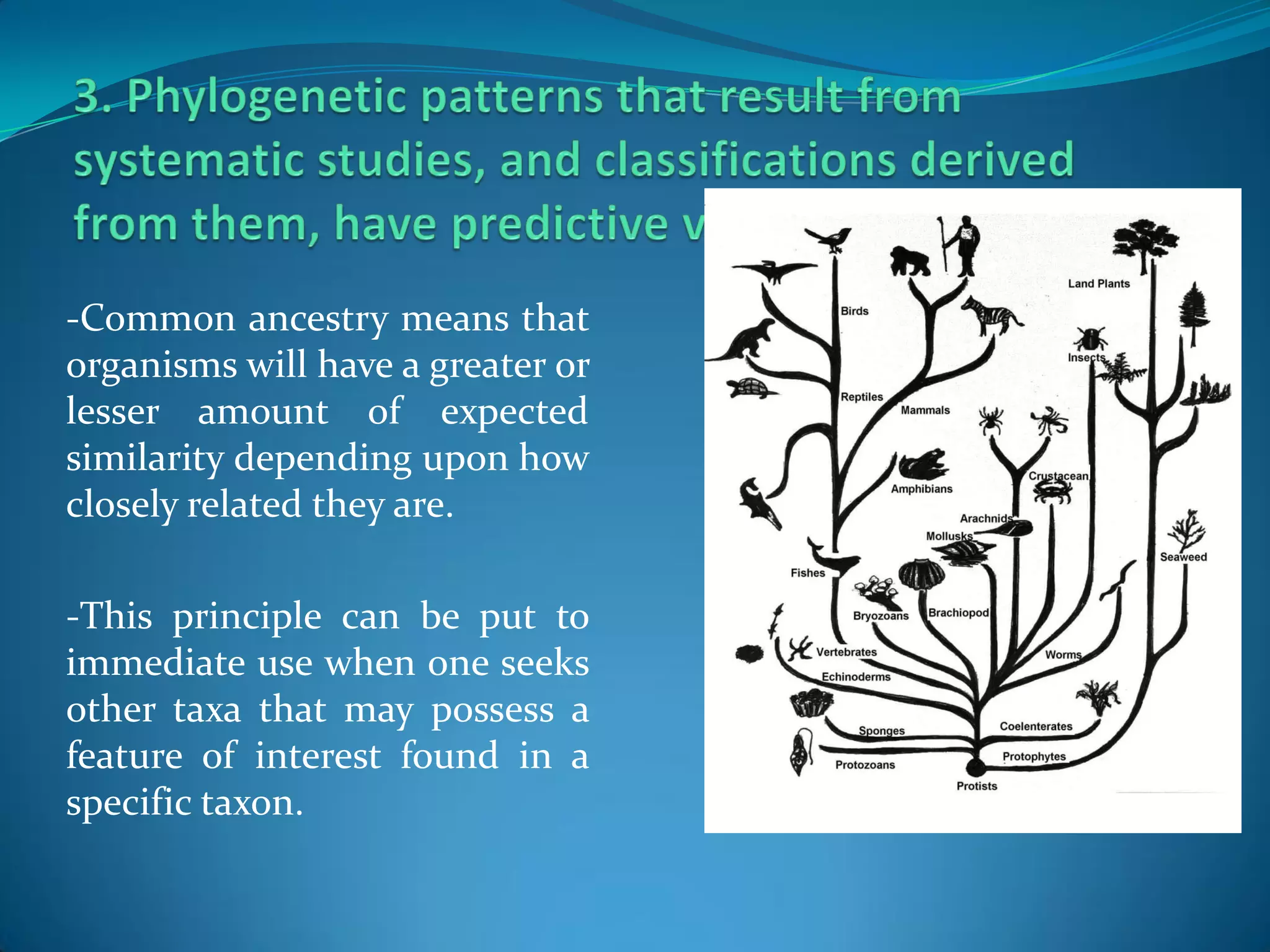 Roles and products of sytematics on modern biology | PDF