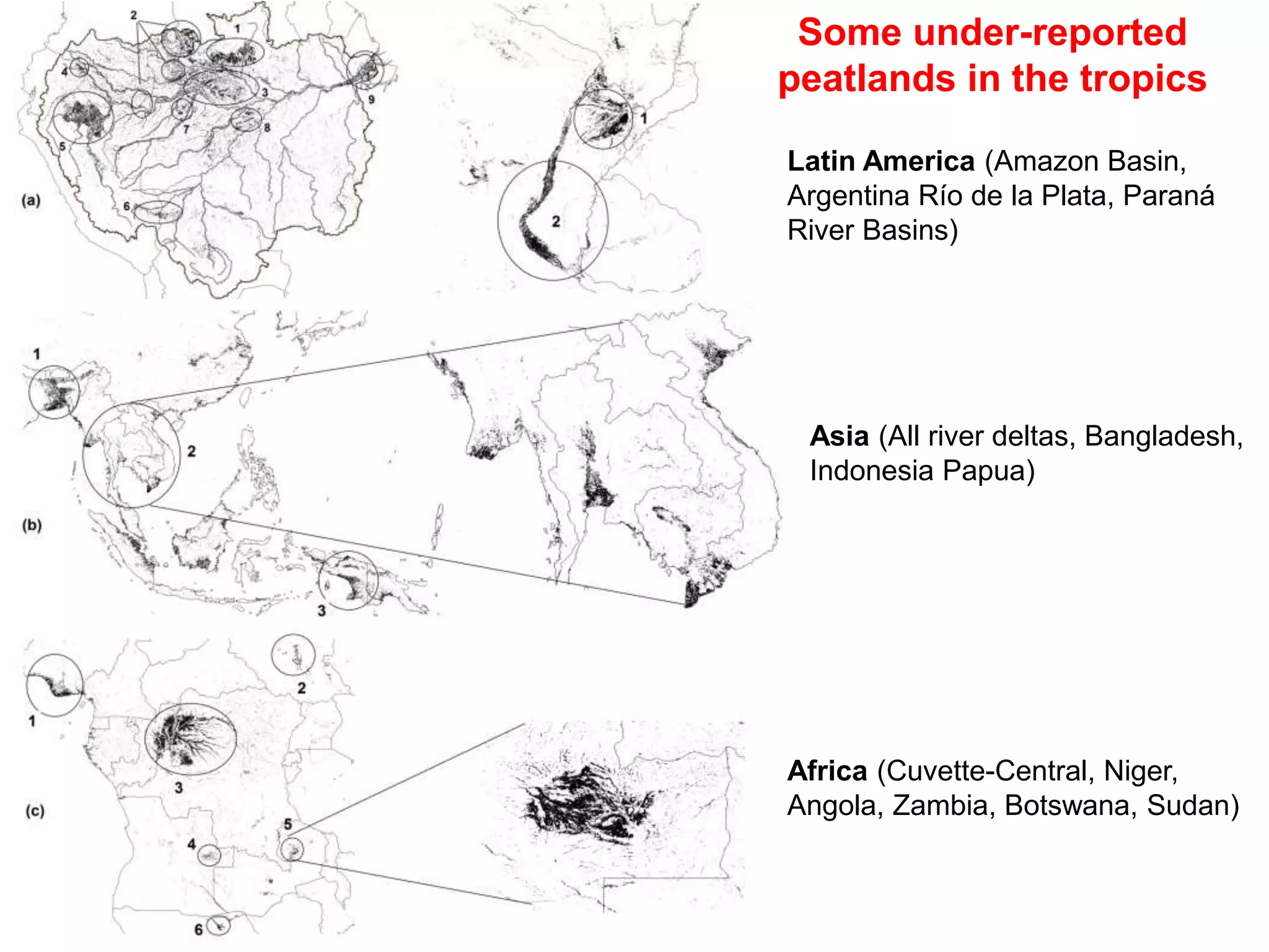 A knowledge-based model for identifying and mapping tropical wetlands ...