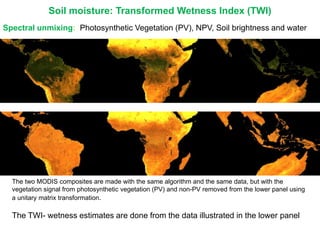 A knowledge-based model for identifying and mapping tropical wetlands ...