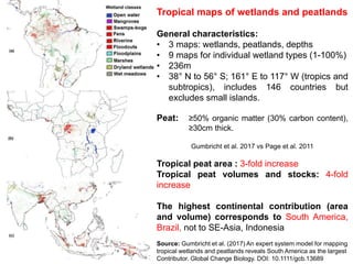 A knowledge-based model for identifying and mapping tropical wetlands ...