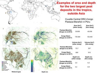 A knowledge-based model for identifying and mapping tropical wetlands ...