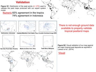 A knowledge-based model for identifying and mapping tropical wetlands and peatlands: areas ...