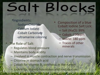 How many licks does it take to get to the centre of the salt block? | PPT
