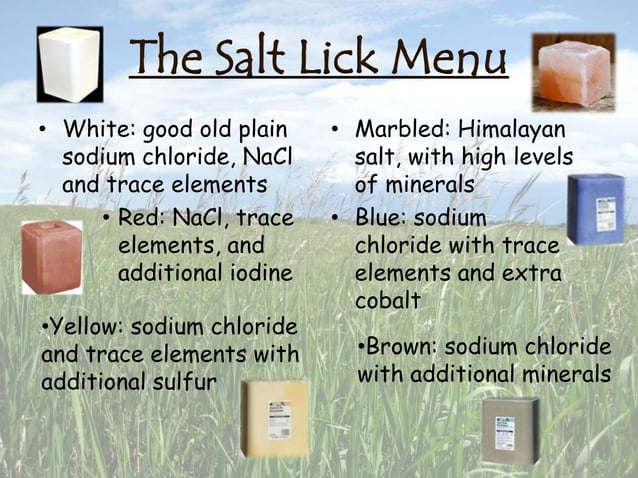 How many licks does it take to get to the centre of the salt block? | PPT