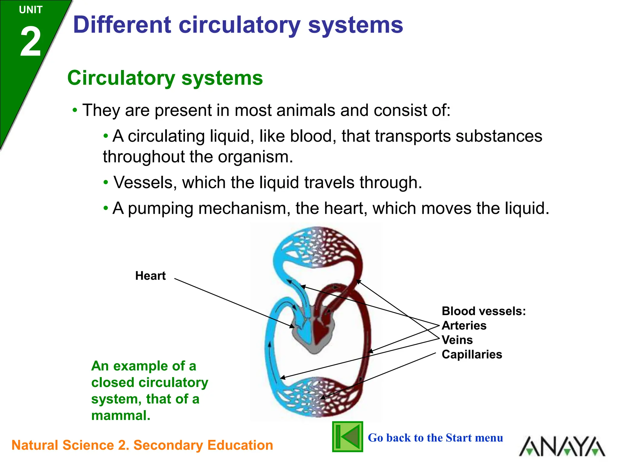 Circulatory Science grade 6 short notes igcse | PPT