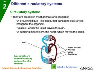 Circulatory Science grade 6 short notes igcse | PPT