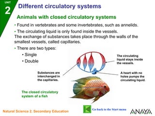 Circulatory Science grade 6 short notes igcse | PPT