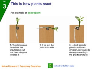 Interaction in plants | PPT