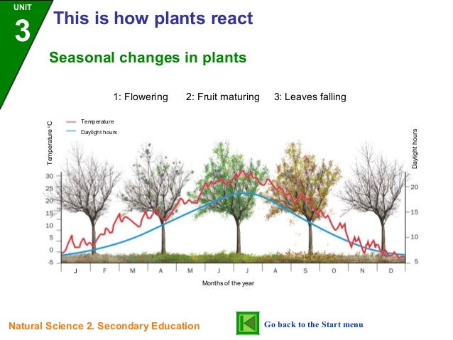 Interaction in plants