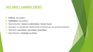 fisiopatologia de ascaris lumbricoides completo | PPTX