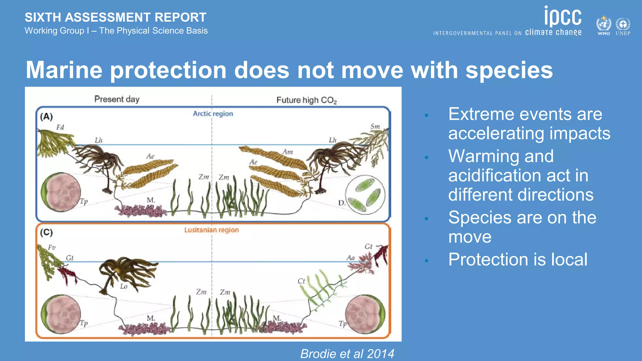 Importance of the WG1 climate information for WG2 assessment | PPT