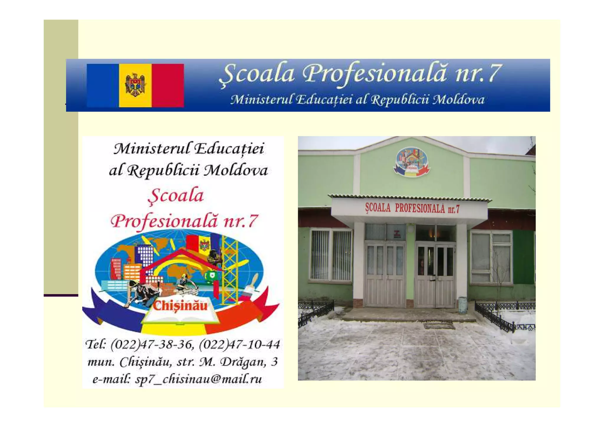 Despre Scoala | PDF