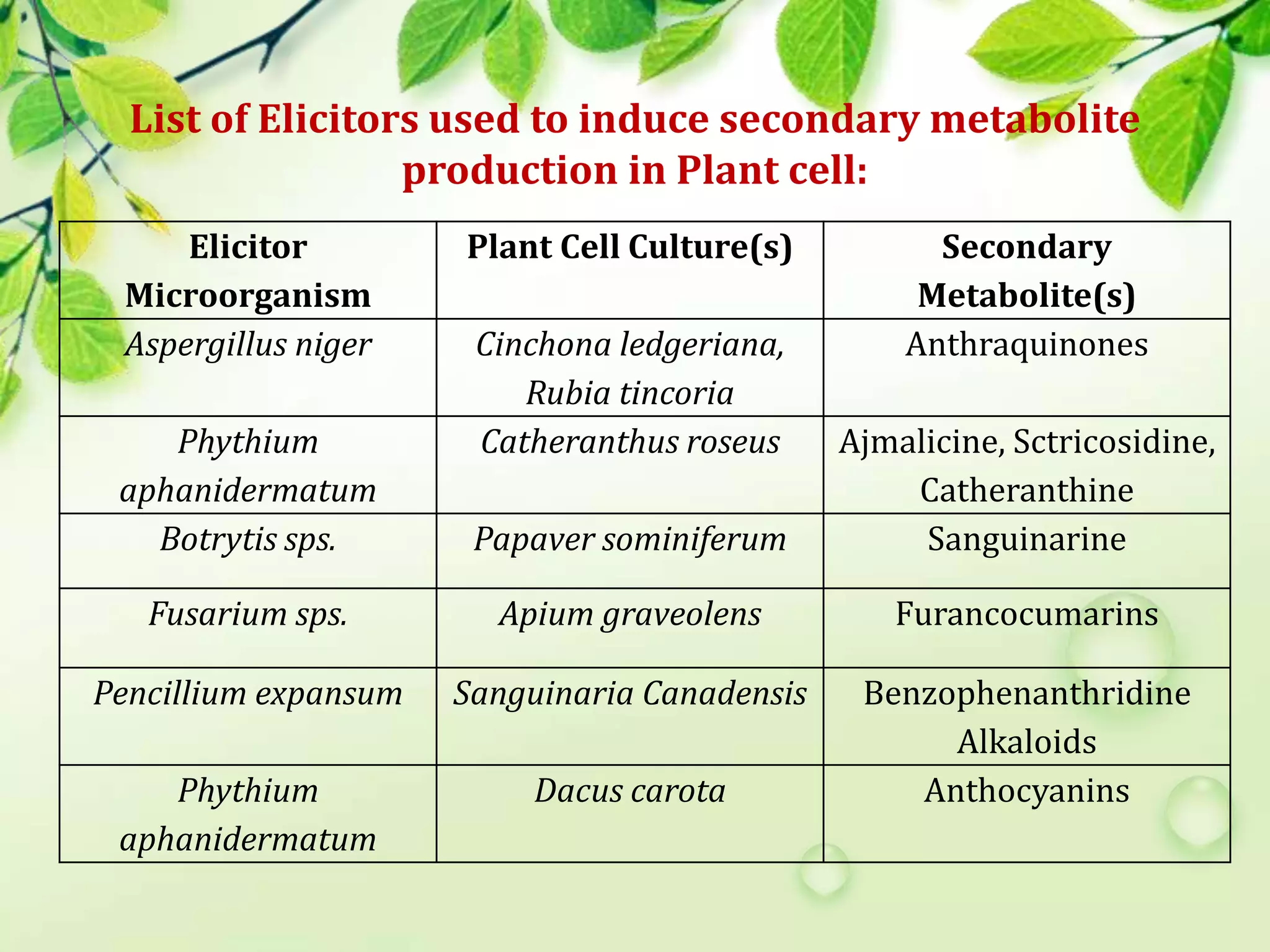secondary metabolites of plant by K. K. SAHU Sir | PPT