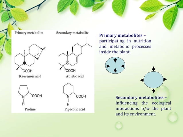 secondary metabolites of plant by K. K. SAHU Sir | PPT | Chemistry ...