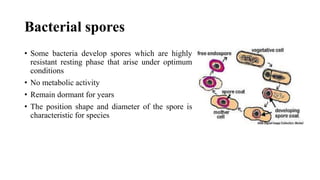 2 second lecture Structure of Bacterial cells | PPT