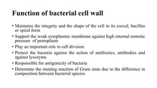 2 second lecture Structure of Bacterial cells | PPT