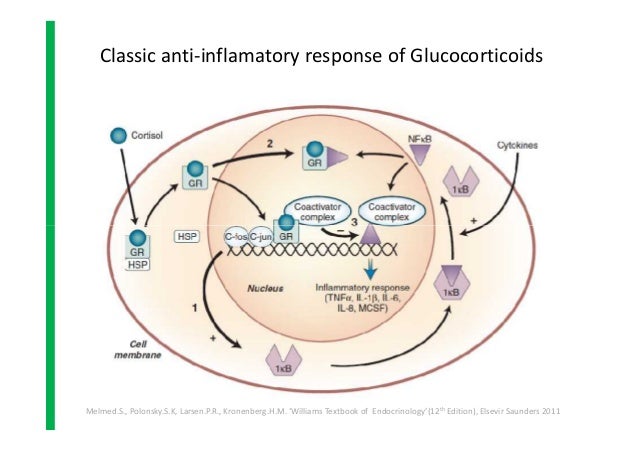 Glucocorticoids