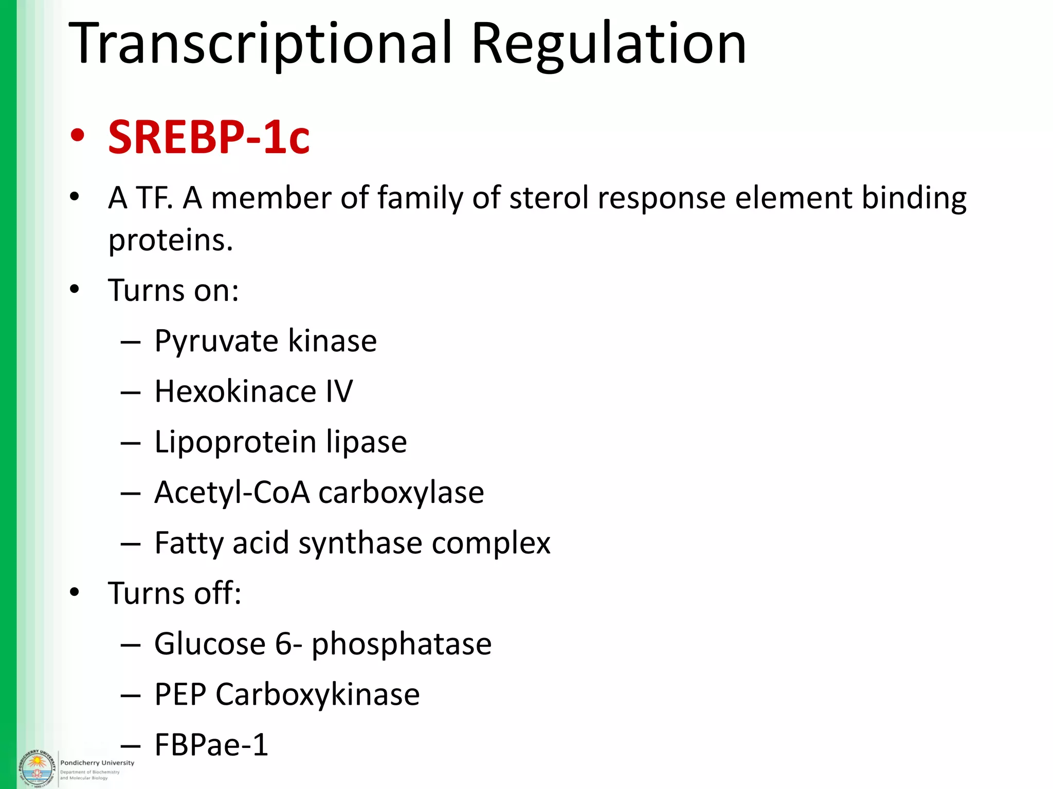 Gluconeogenesis - The Pathway and Regulation | PDF