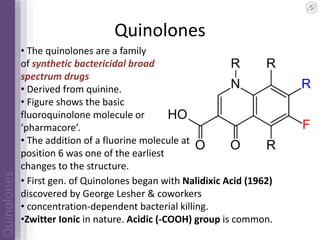 Quinolones | drug develoupment | mechanism of action | future | PPT