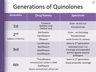 Quinolones | drug develoupment | mechanism of action | future