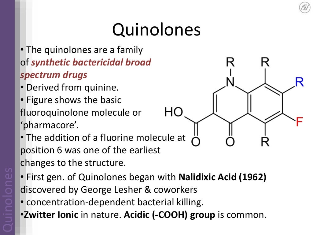 Quinolones | drug develoupment | mechanism of action | future