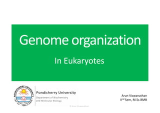 Genome organisation | PDF