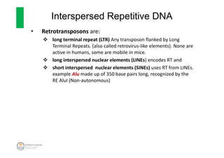 Genome organisation | PDF